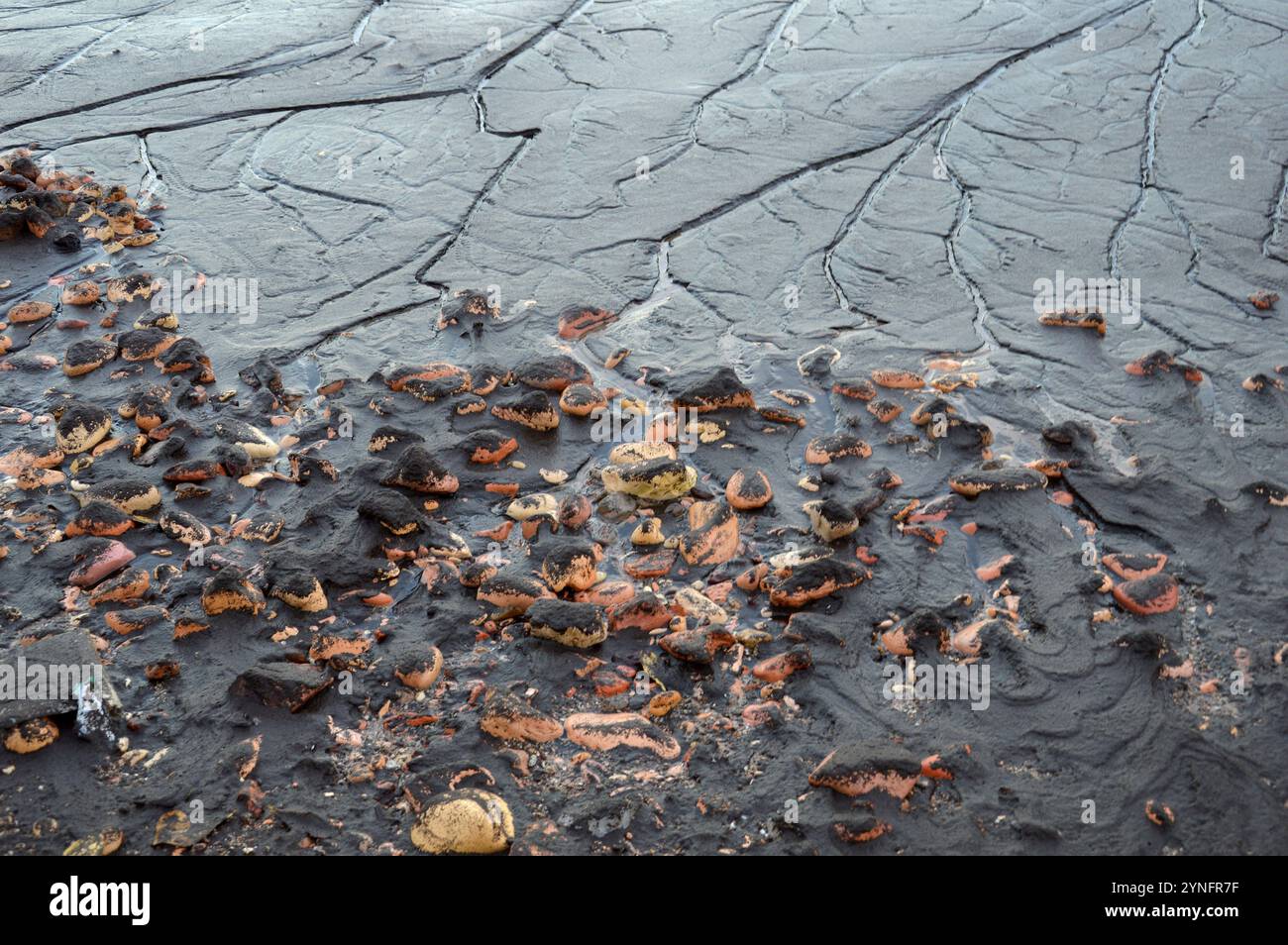 pollution sawdust on Tanjung Batu Beach in Tarakan Indonesia Stock ...