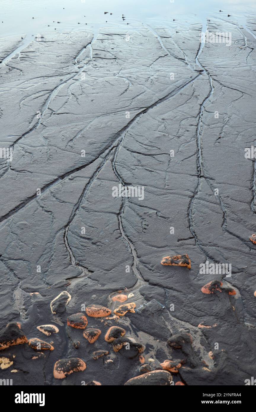 pollution sawdust on Tanjung Batu Beach in Tarakan Indonesia Stock ...