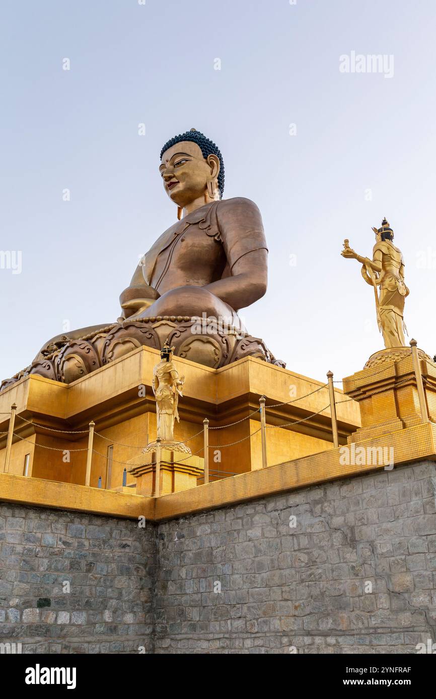 Buddha Dordenma, a large golden buddha statue sitting on the top of a ...
