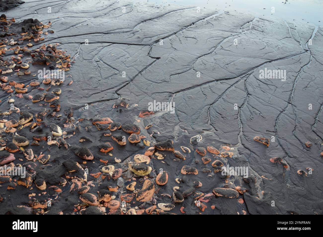 pollution sawdust on Tanjung Batu Beach in Tarakan Indonesia Stock ...