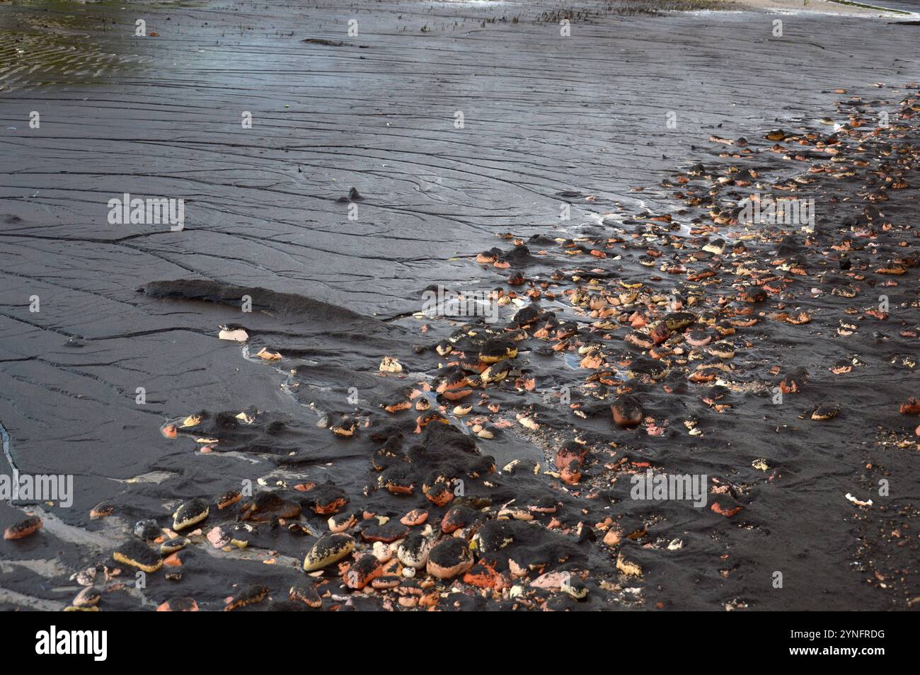 pollution sawdust on Tanjung Batu Beach in Tarakan Indonesia Stock ...