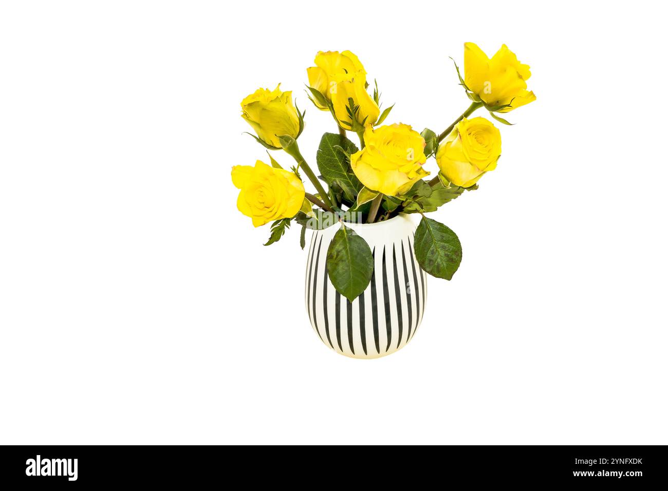 Short cut yellow roses in vase isolated on white background Stock Photo ...