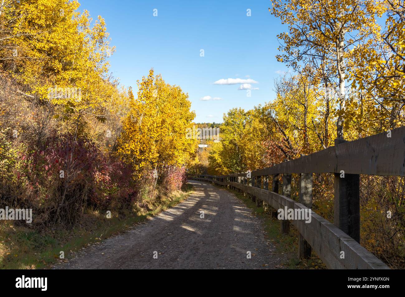 Path to Fort Edmonton footbridge at Jan Reimer Park, Edmonton in fall ...