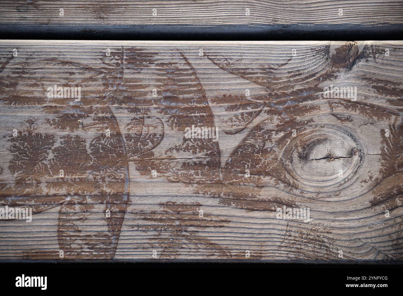 Subtle coloration patterns hi-res stock photography and images - Alamy