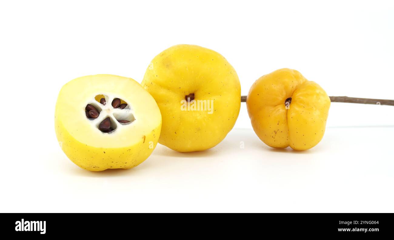 Fresh quince fruits placed on white background showcasing their vibrant ...