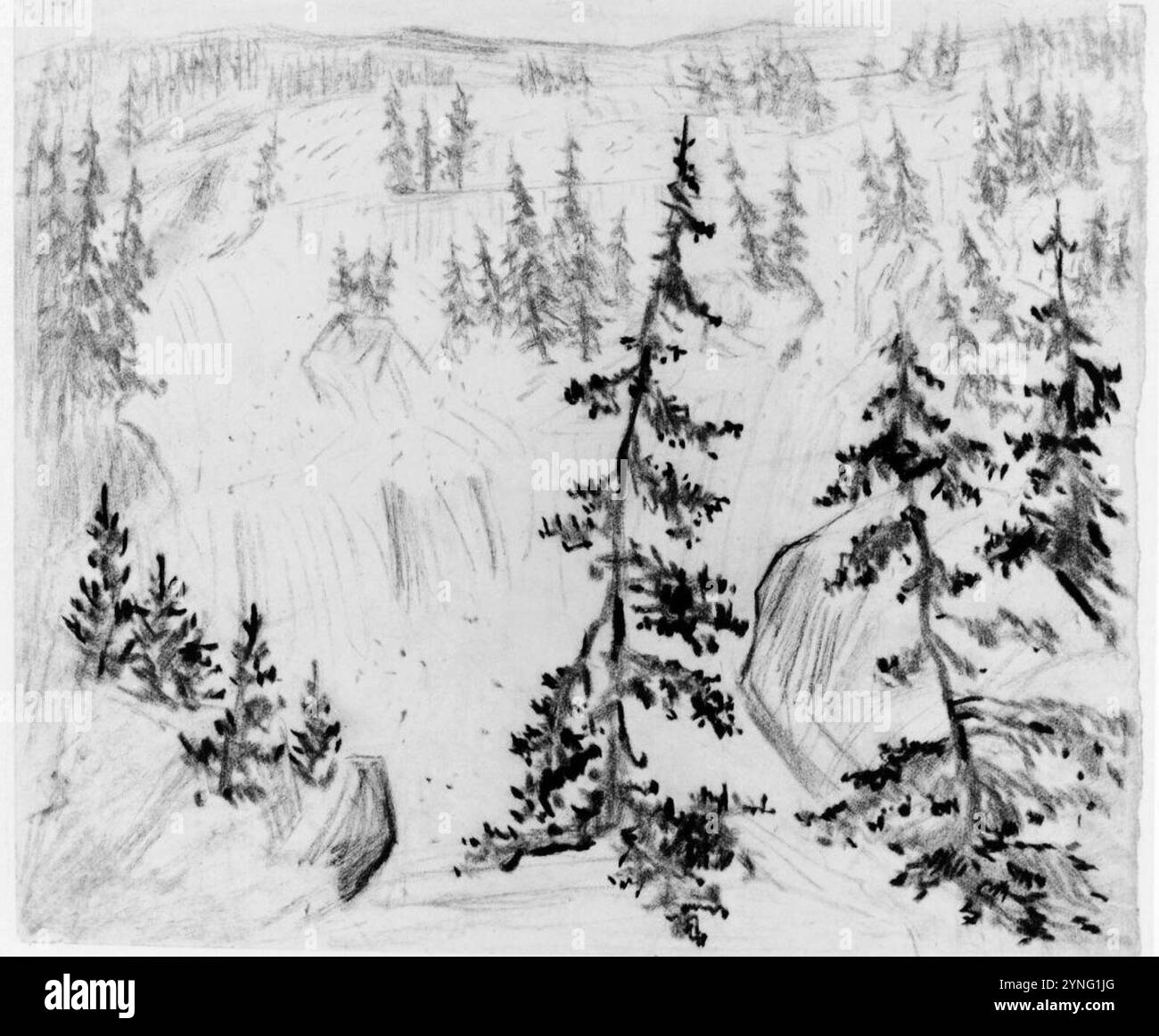 Carl Fredrik Hill - Granskog och klippblock Stock Photo - Alamy