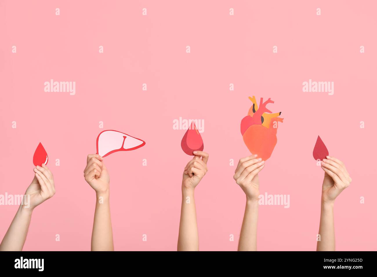 Female hands with paper human organs and drops of blood on pink ...