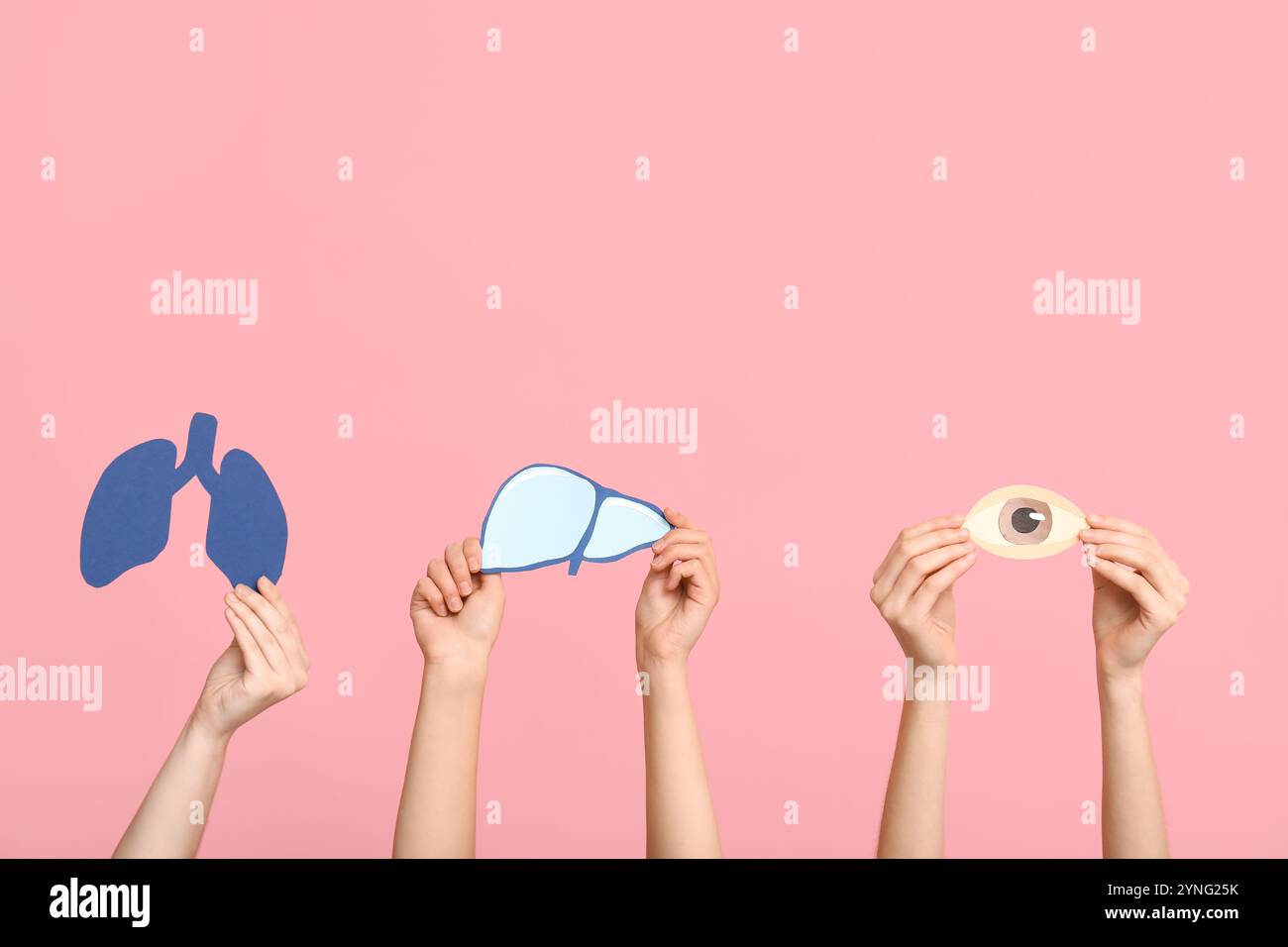 Organs person female hi-res stock photography and images - Alamy