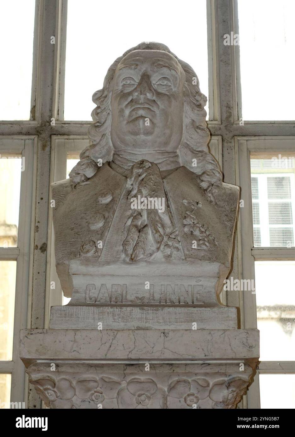 Carl v. Linné Stock Photo - Alamy