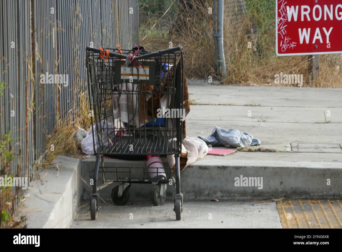Los Angeles, California, USA 25th November Homeless Shopping Cart Camp ...