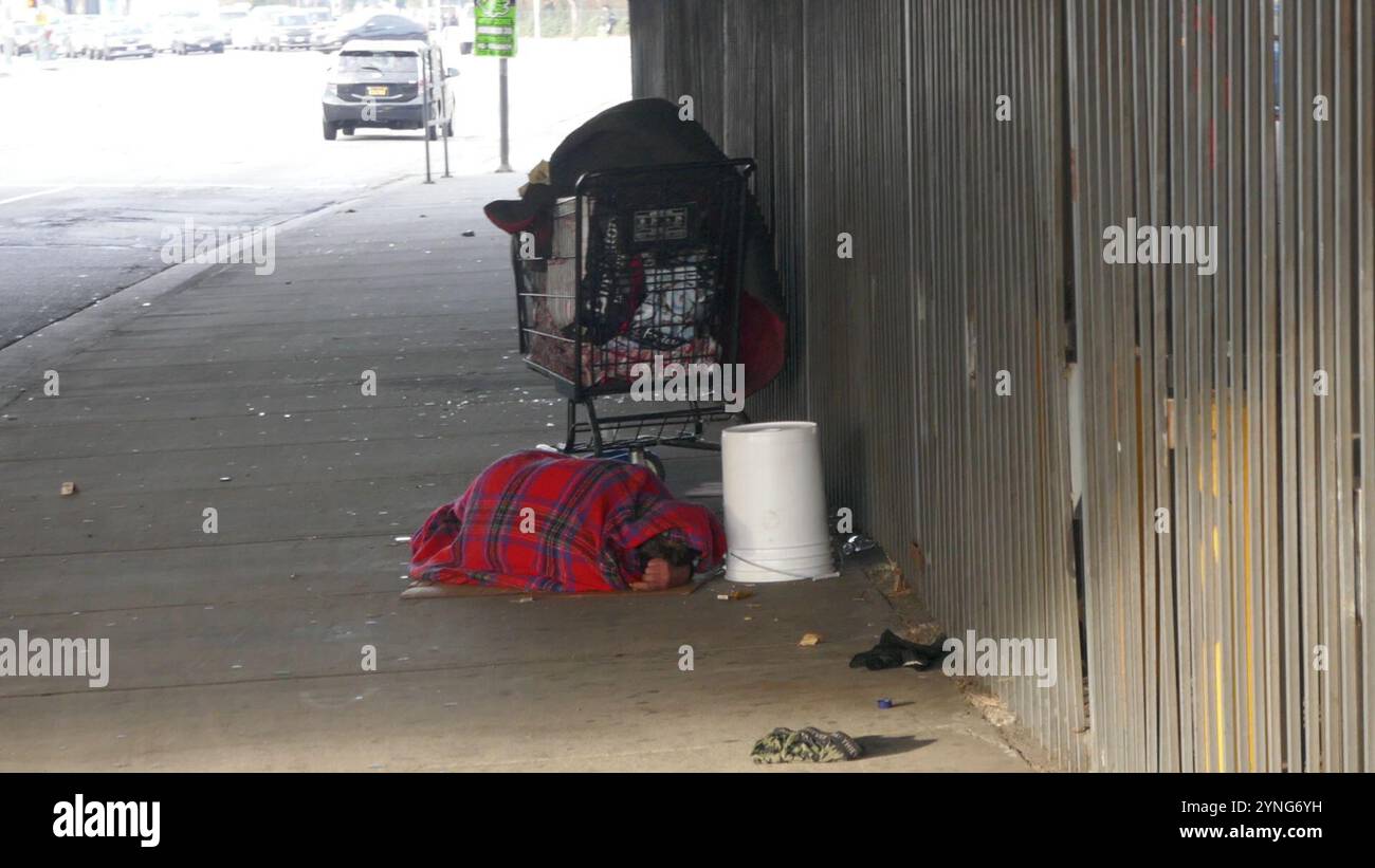 Los Angeles, California, USA 25th November Homeless Person with ...