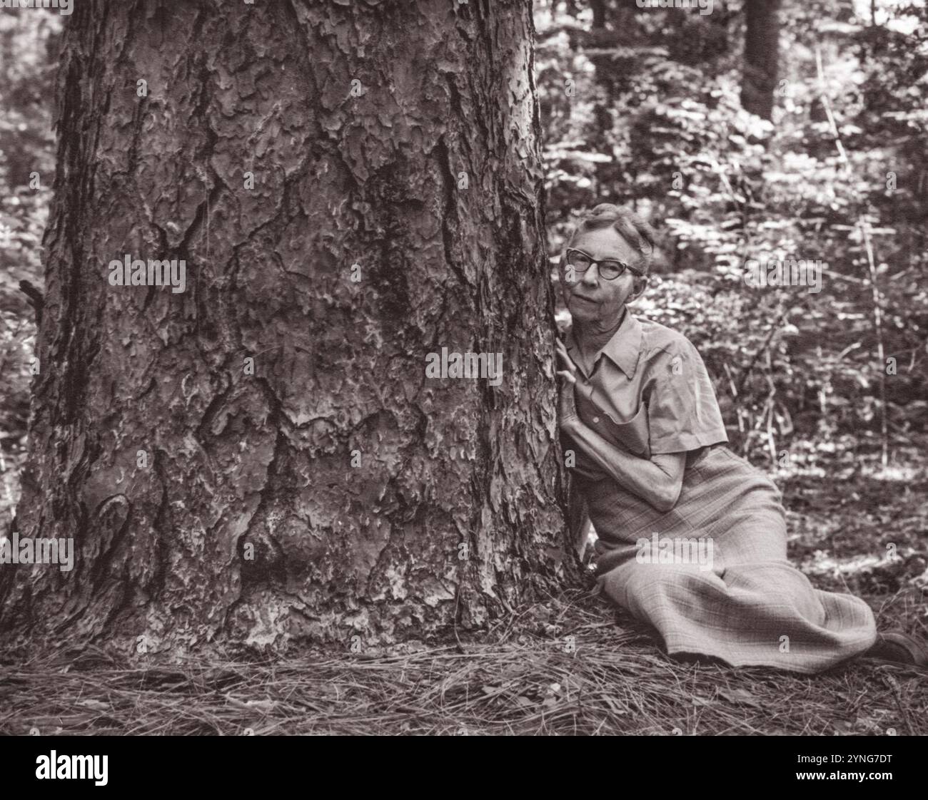 Caroline Dormon with a Longleaf Pine named ''Grandpappy'' Stock Photo ...