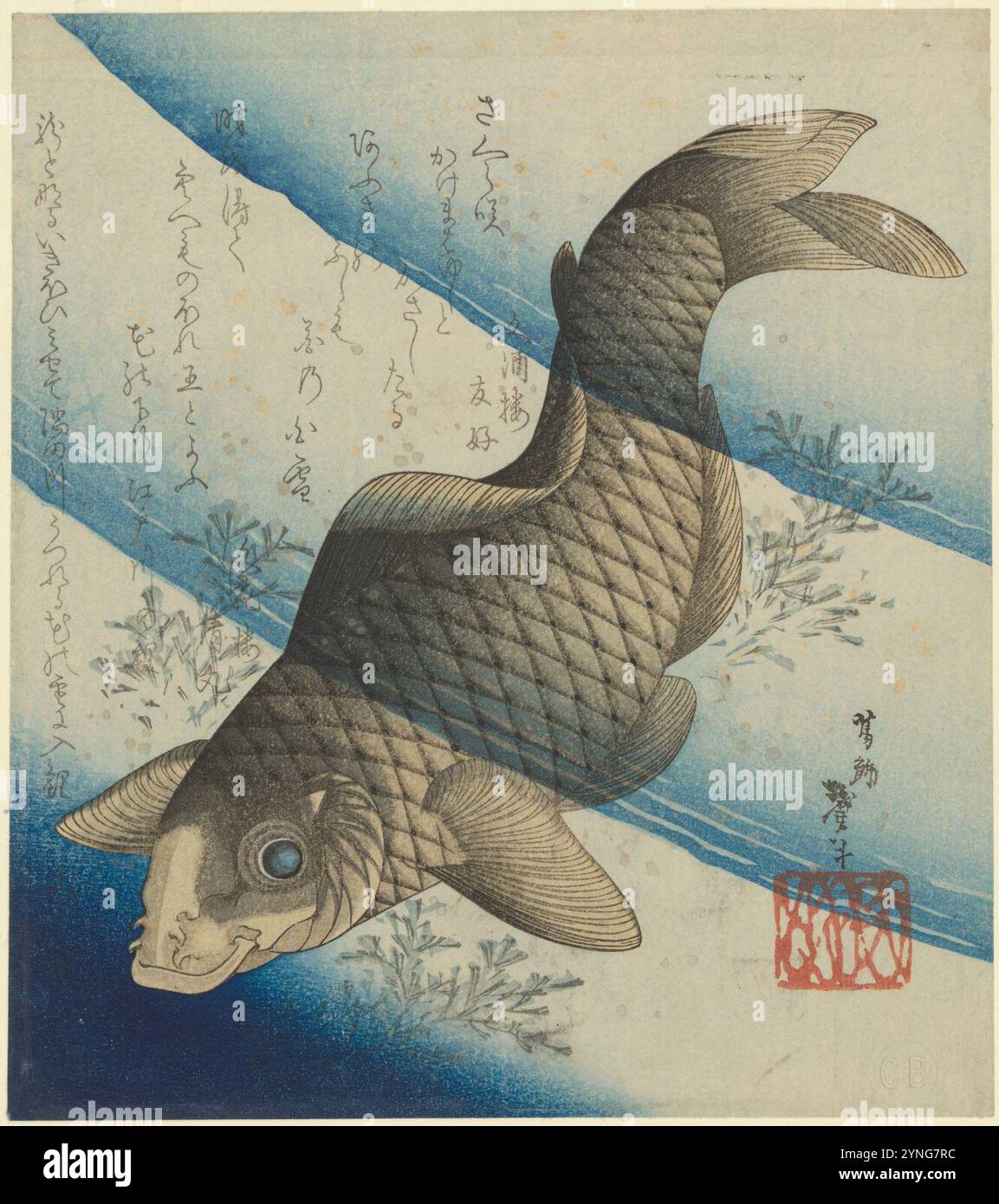 Waterweeds hi-res stock photography and images - Alamy