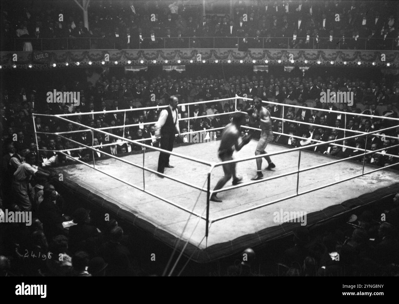 Papke hi-res stock photography and images - Alamy