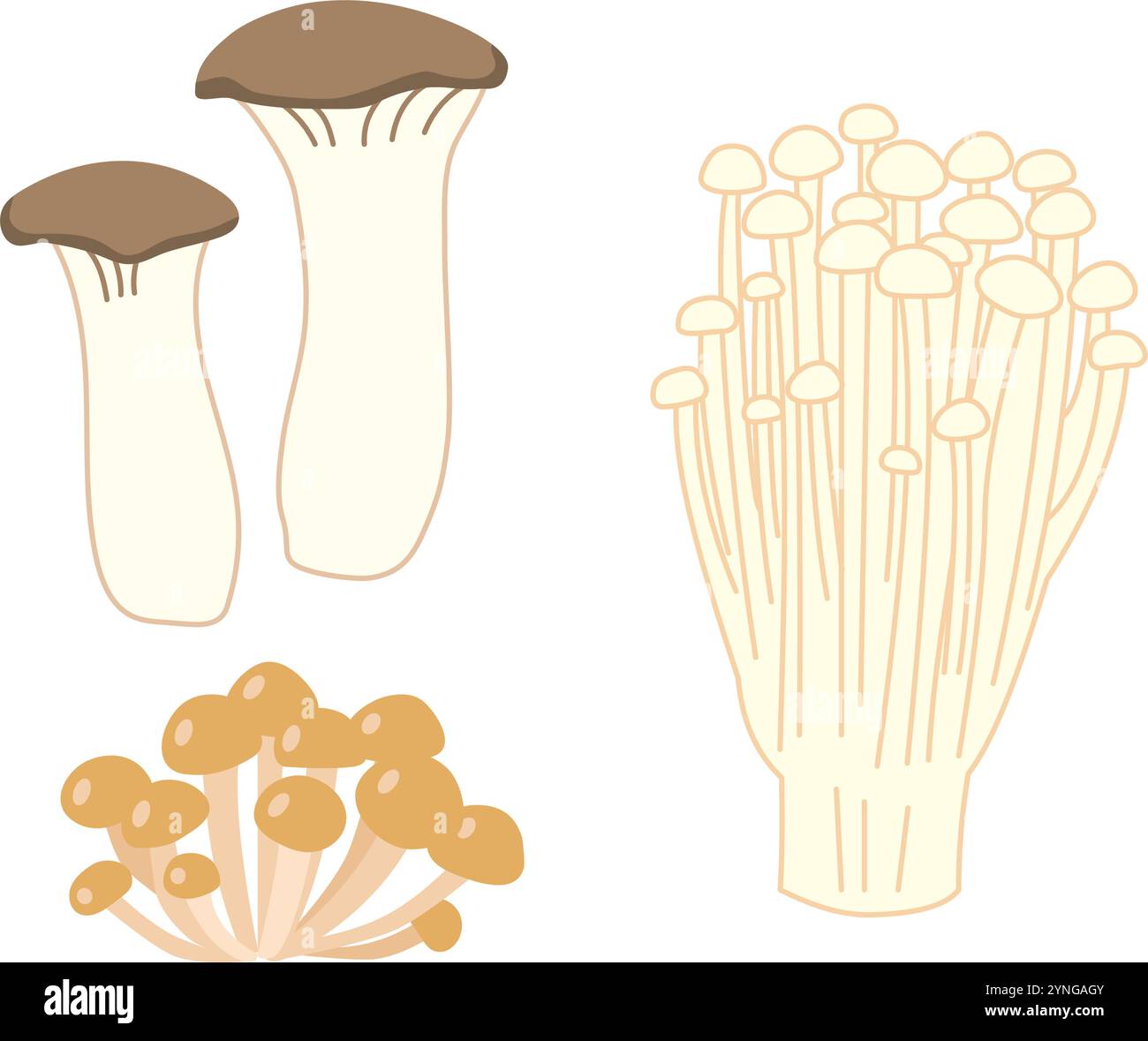 Nameko Stock Vector Images - Alamy