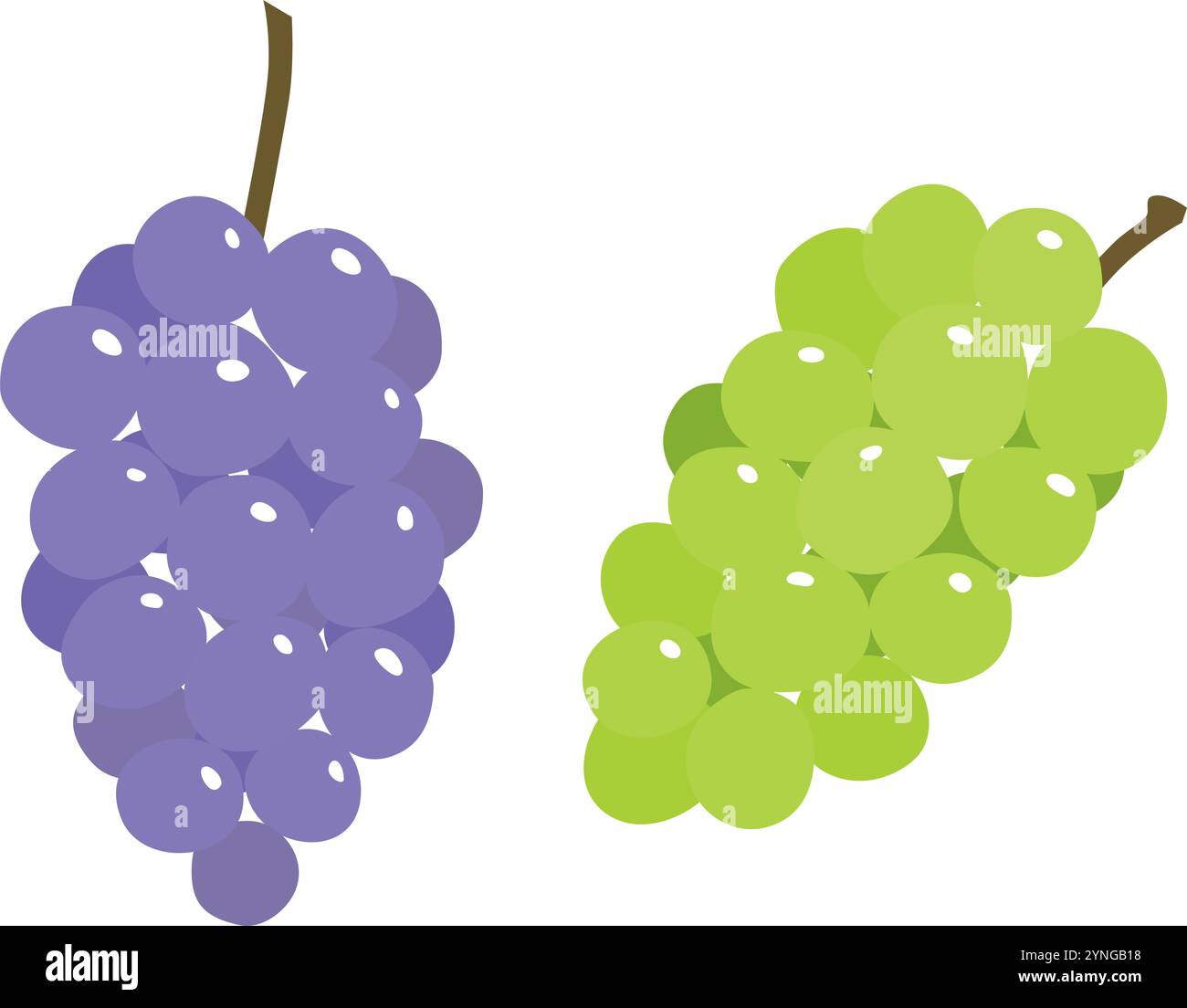 Illustration of purple and green grapes. Flat design Stock Vector Image ...