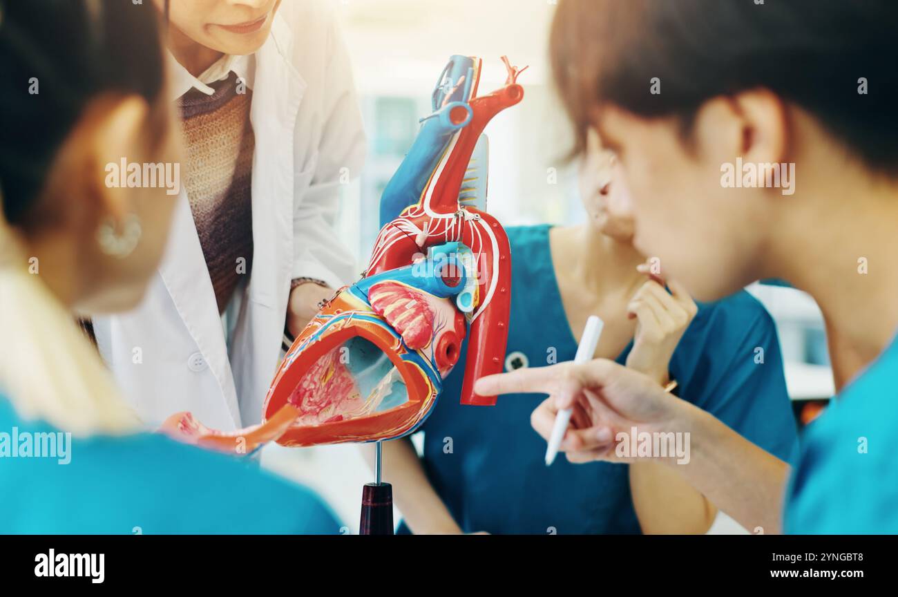 Study, professor and students with heart in hospital for lesson ...