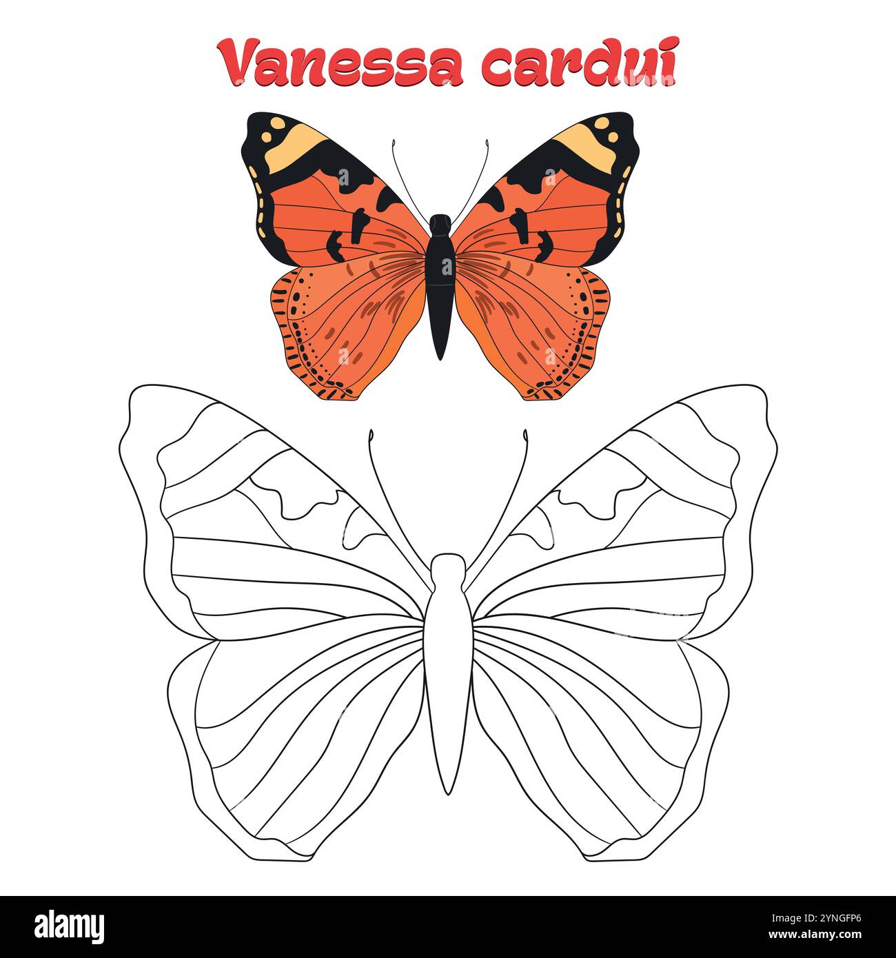 Educational game coloring book butterfly vector Stock Vector Image ...