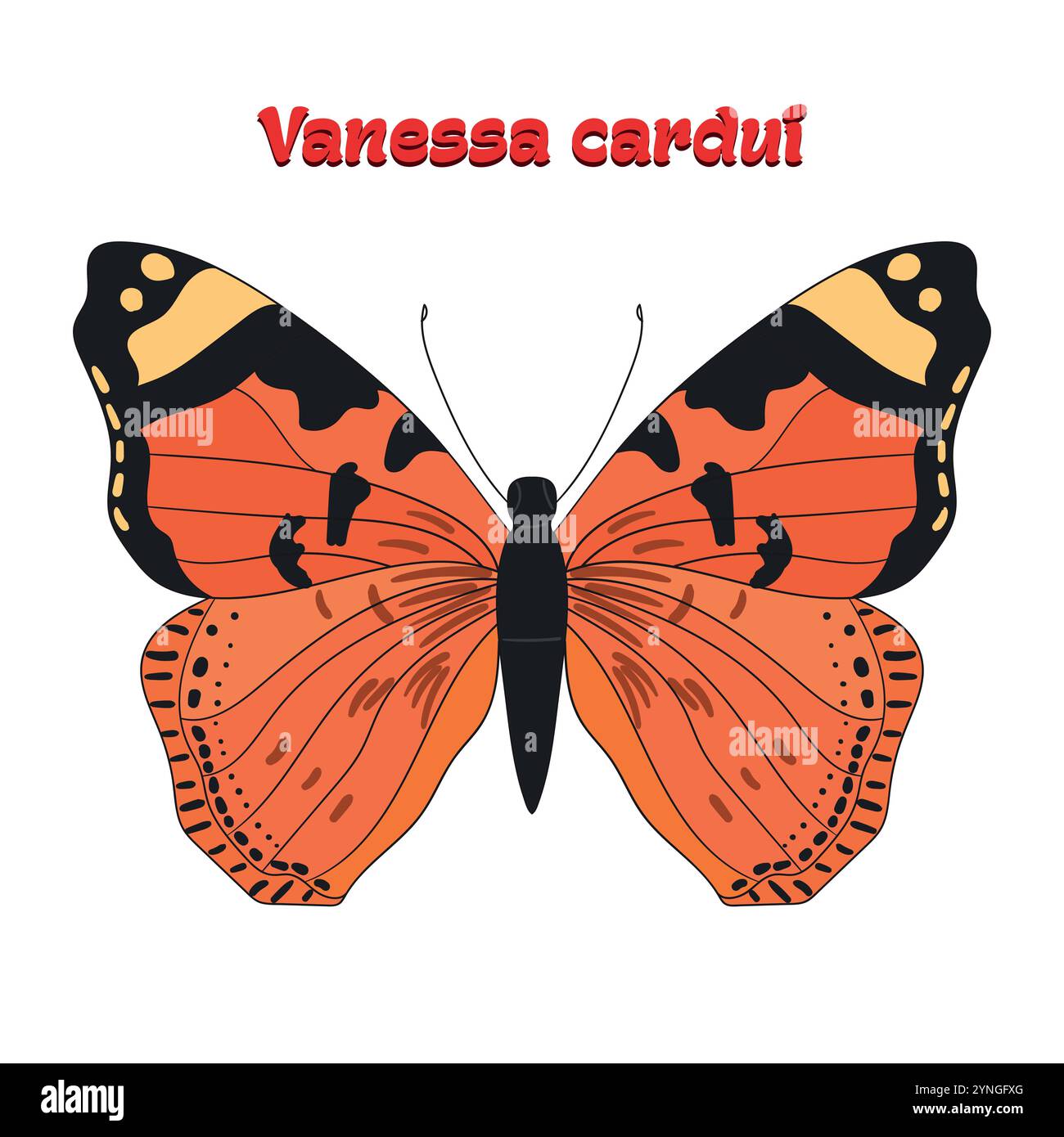 Vanessa cardui vector hi-res stock photography and images - Alamy