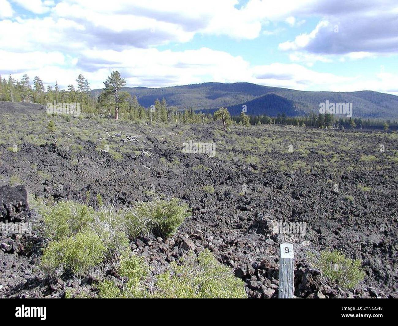 Cascade Lakes Scenic Byway - Lava Cast Forest Stock Photo - Alamy