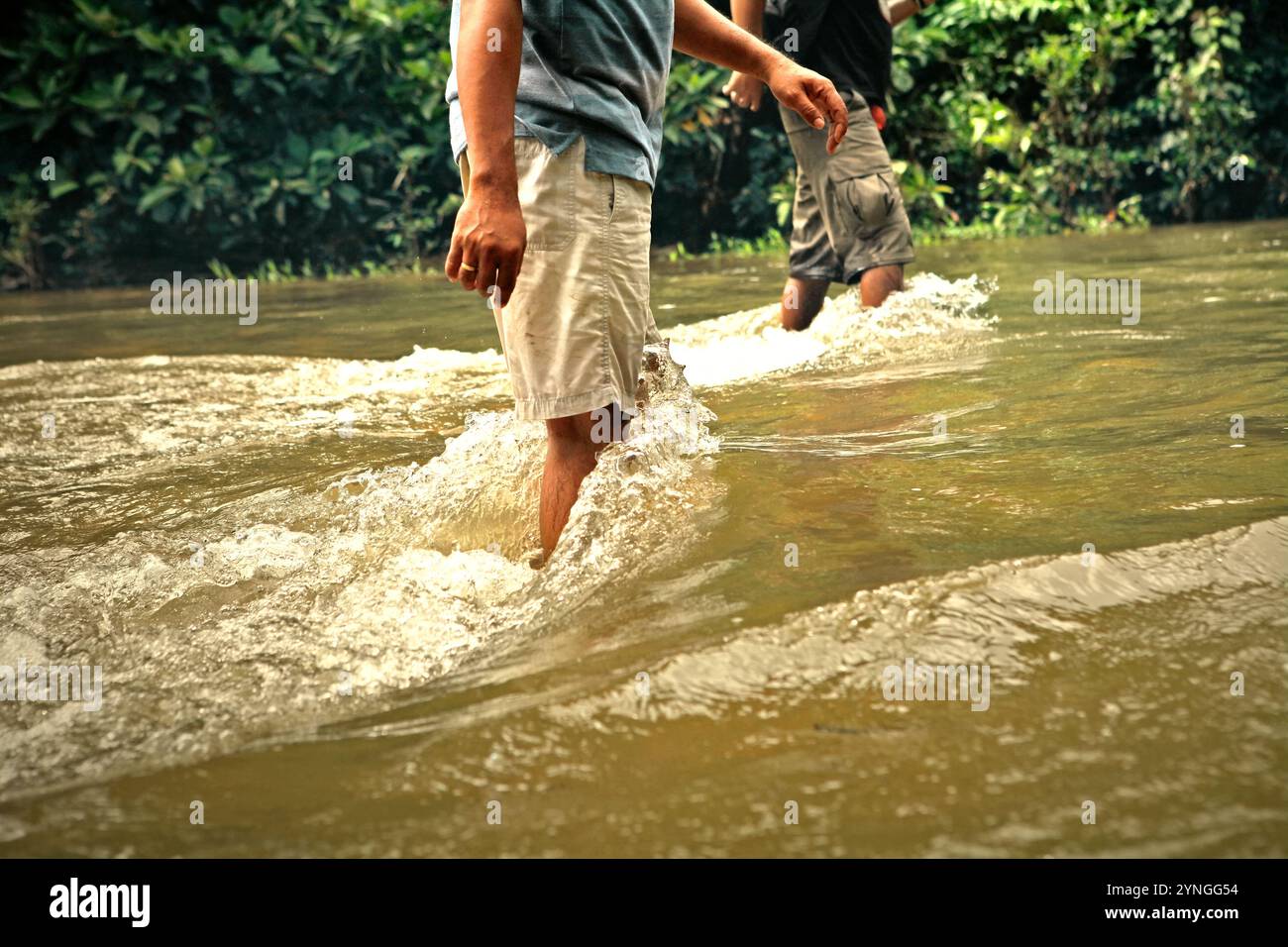 Men walking on shallow rapid stream in the middle of customary forest ...