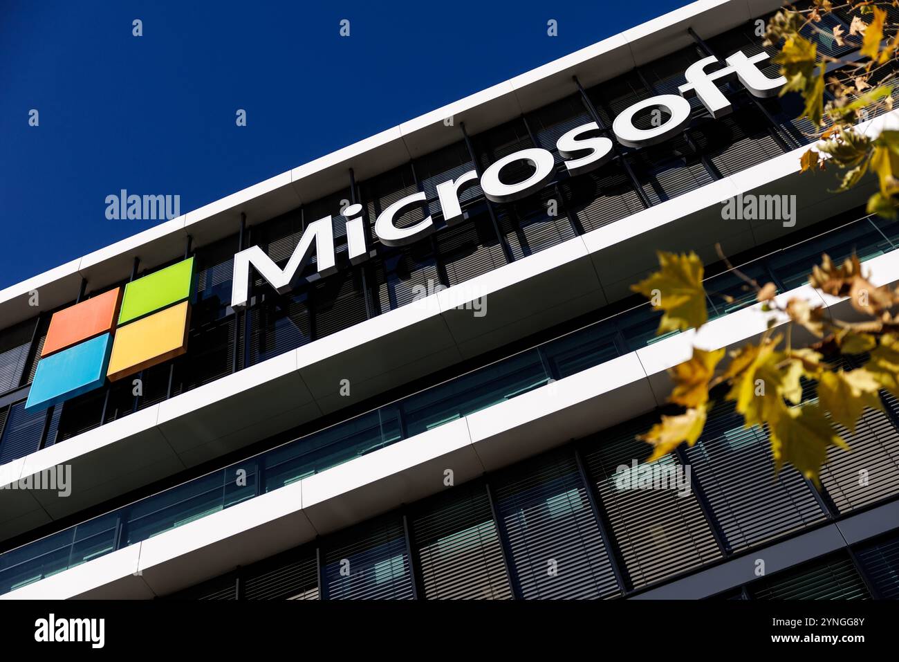 Munich, Germany. 25th Nov, 2024. The Microsoft logo and lettering can ...