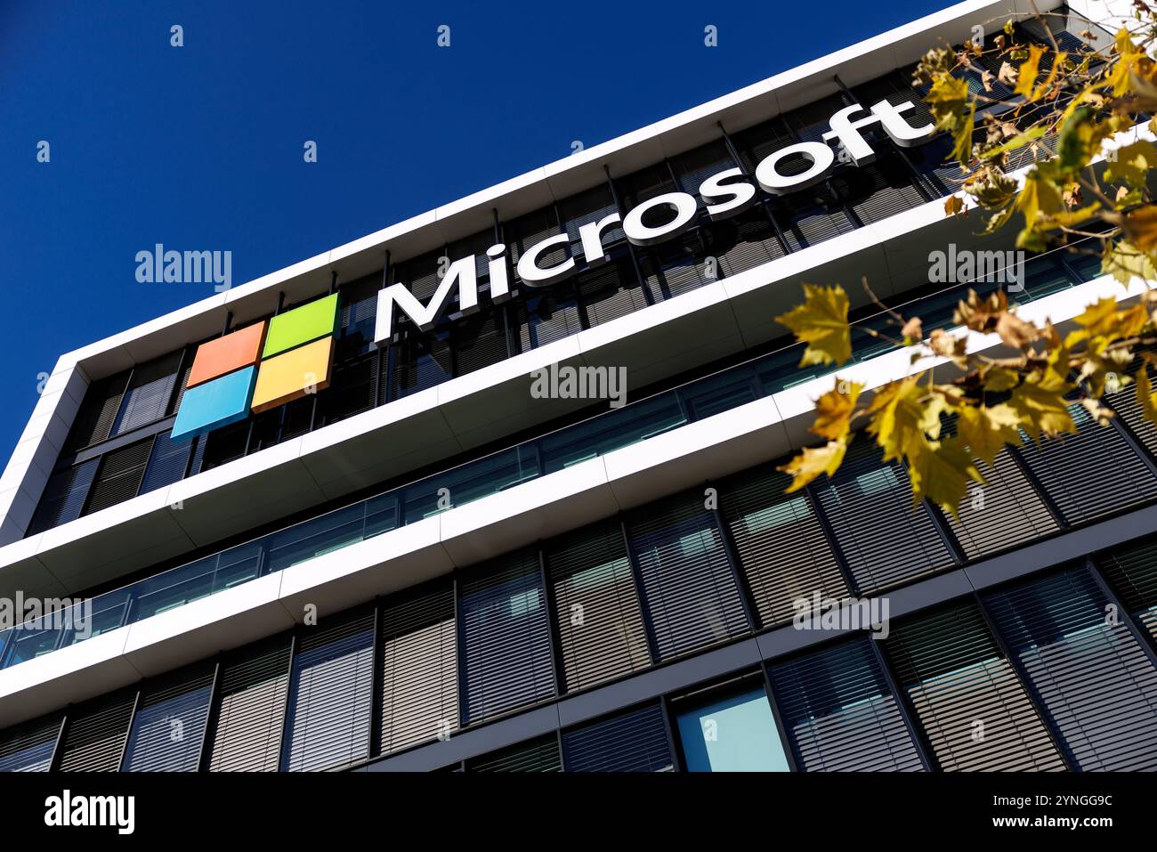 Munich, Germany. 25th Nov, 2024. The Microsoft logo and lettering can ...