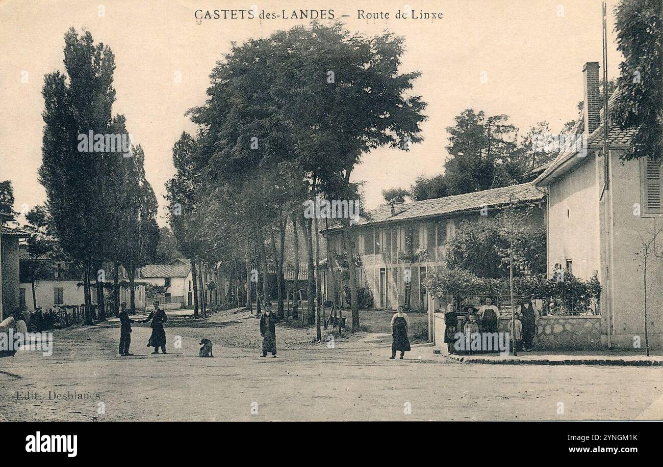 Linxe hi-res stock photography and images - Alamy