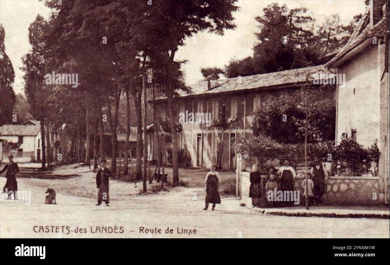 Linxe hi-res stock photography and images - Alamy