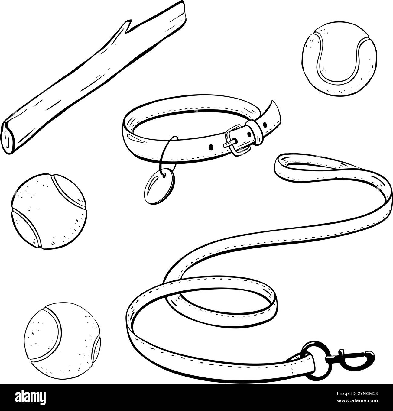 A great collection of dog accessories, including a leash, collar, balls ...