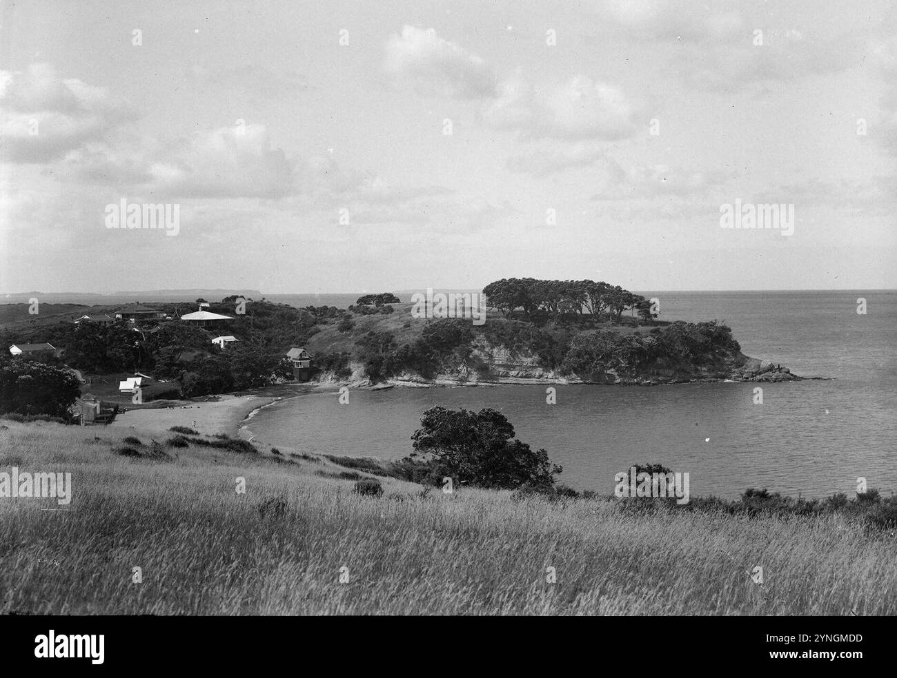Castor Bay, 1916 (cropped Stock Photo - Alamy