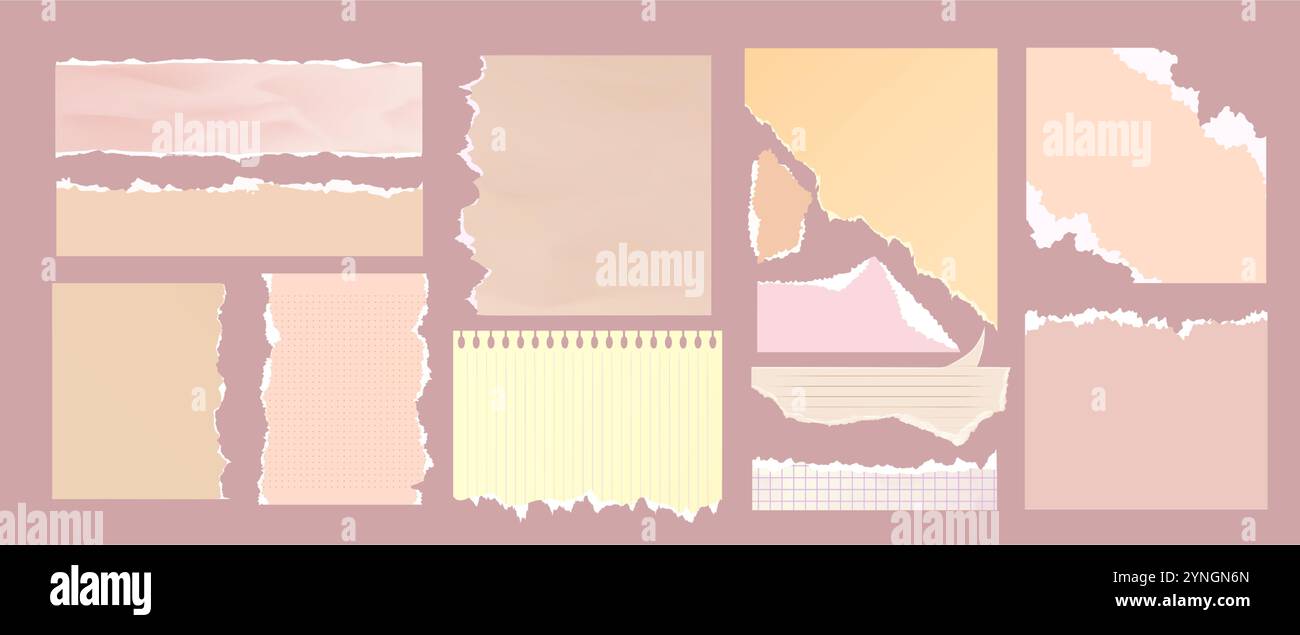 Ripped paper pieces set isolated on beige background. Vector realistic ...
