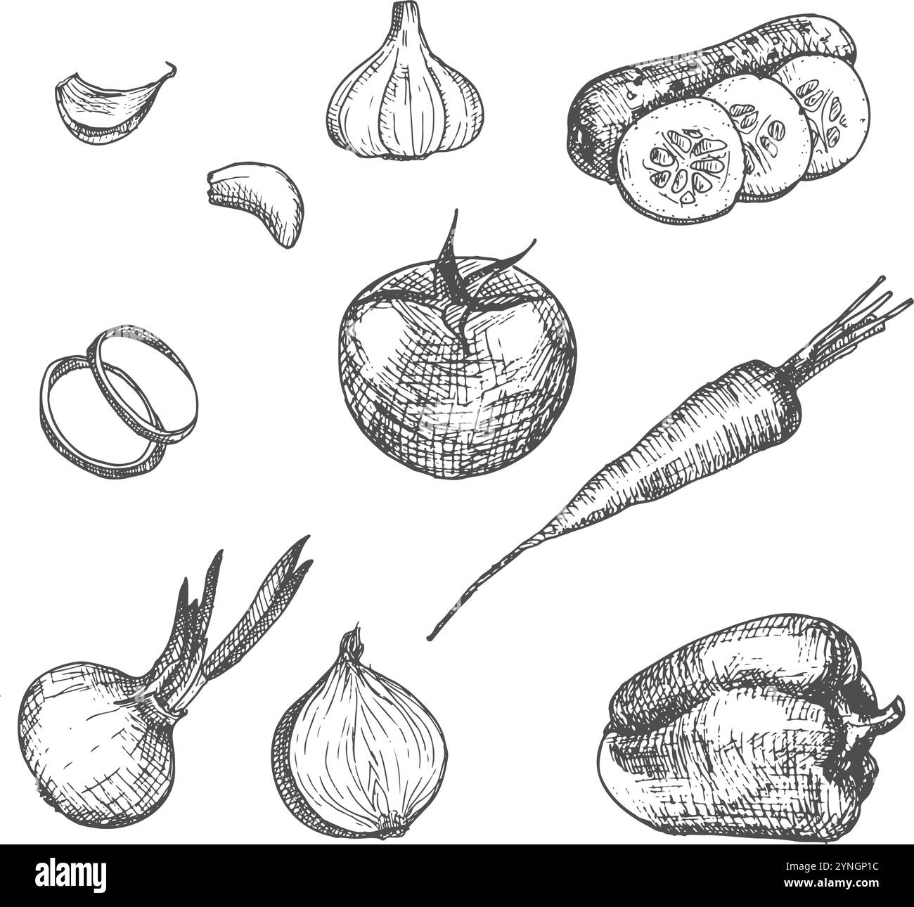 Hand drawn set of vegetables.Ink vector illustration. Design for ...