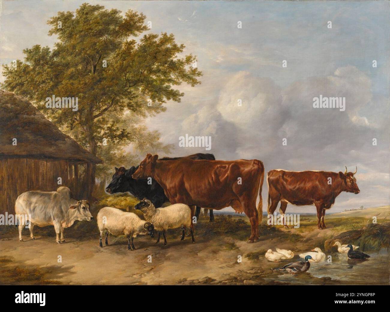 Cattle and sheep by a bower in a landscape Stock Photo - Alamy