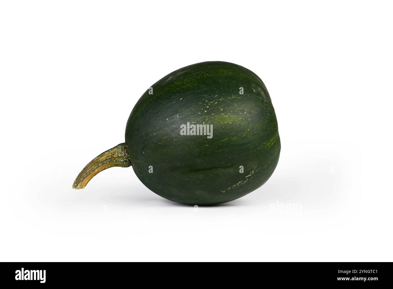 Small dark green 'African Smaragd Cucurbita Pepo' squash on white ...