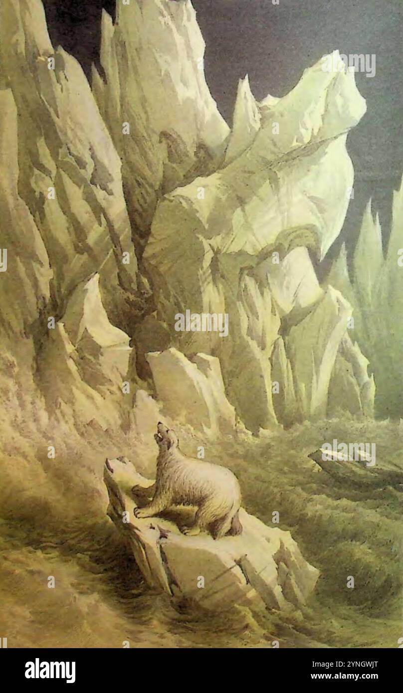 Llenyddiaeth hi-res stock photography and images - Alamy