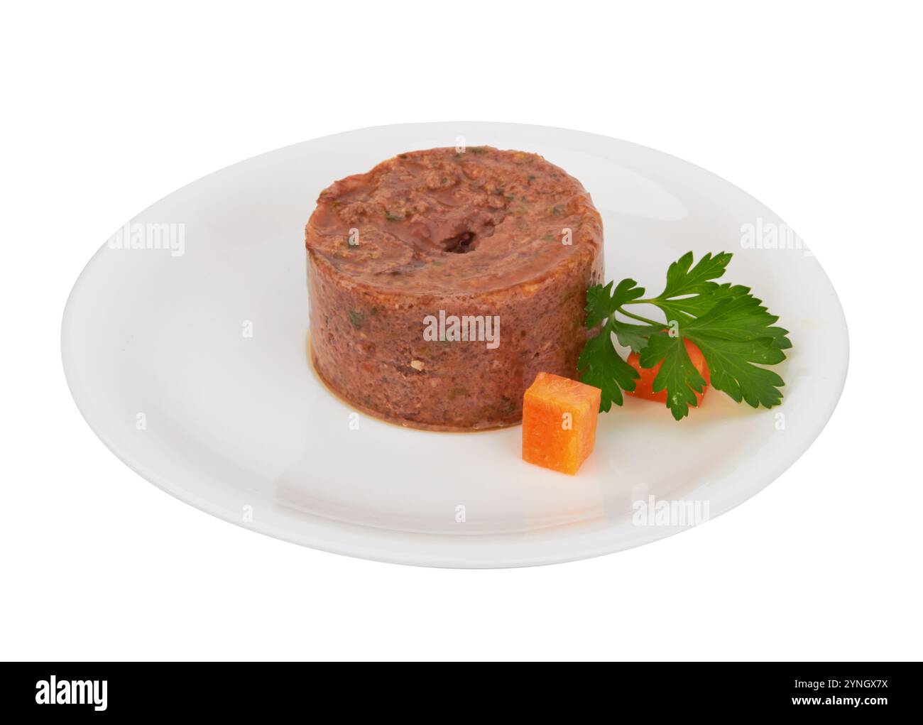 Pet food in plate isolated on white background Stock Photo - Alamy