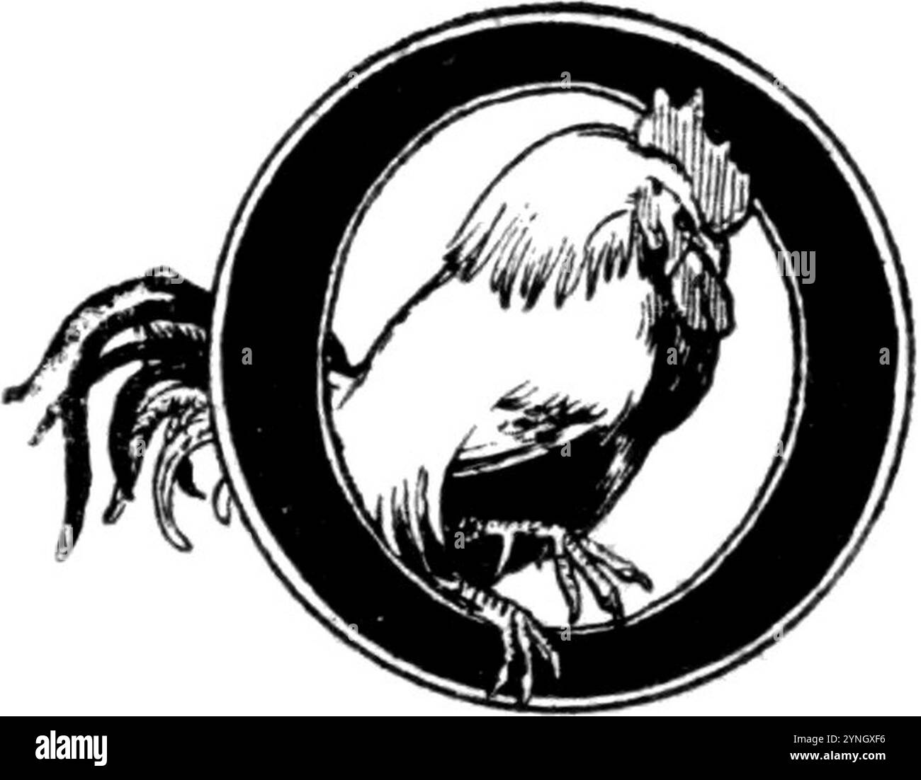 Celtic Fairy Tales-1892-140 Stock Photo - Alamy
