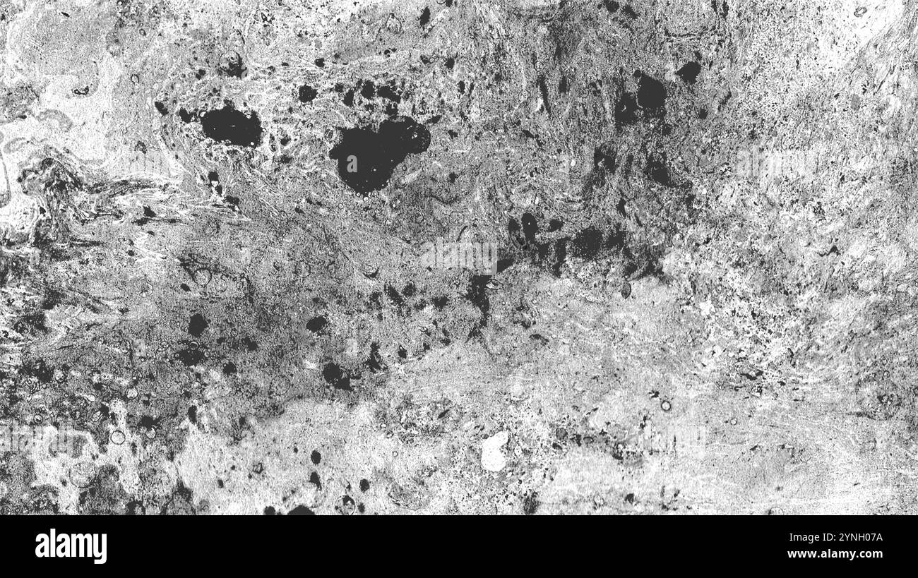 Abstract marble background from different shades of gray. Black and ...