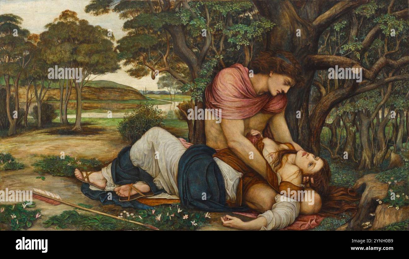 Procris cephalus hi-res stock photography and images - Alamy