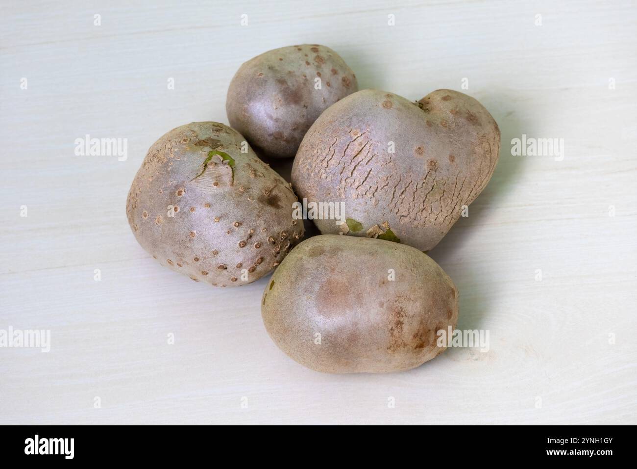 Fresh purple yam (Dioscorea alata), also known as greater yam, Guyana ...