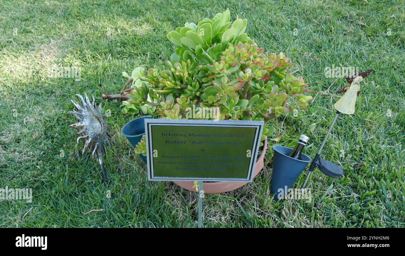 Los Angeles, California, USA 24th November 2024 Actor Bob Wall Grave in ...