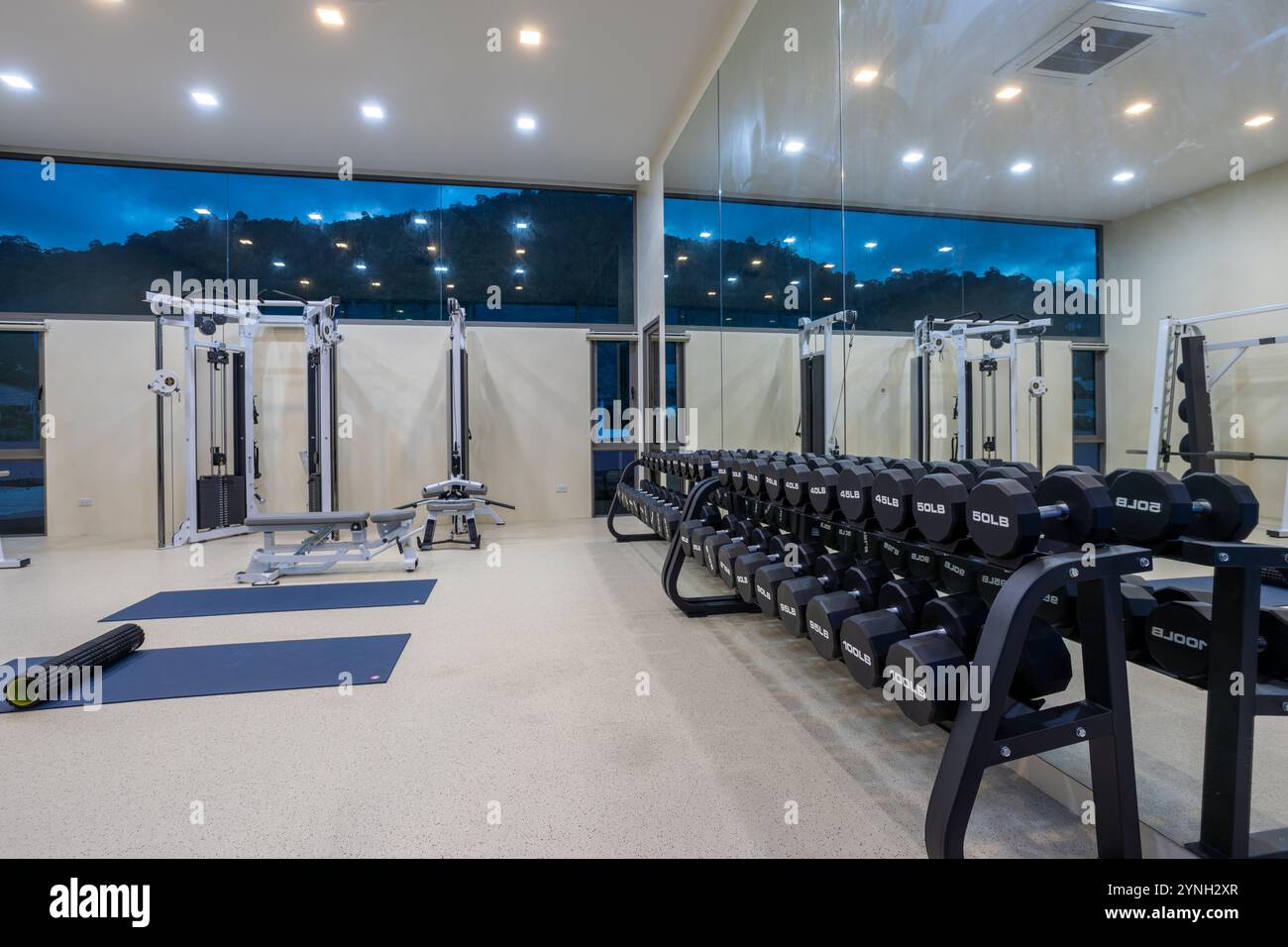 Modern luxury gym interior design hi-res stock photography and images ...