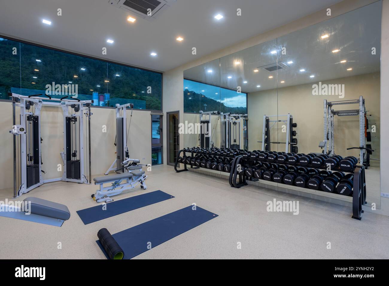 Modern luxury gym interior design hi-res stock photography and images ...