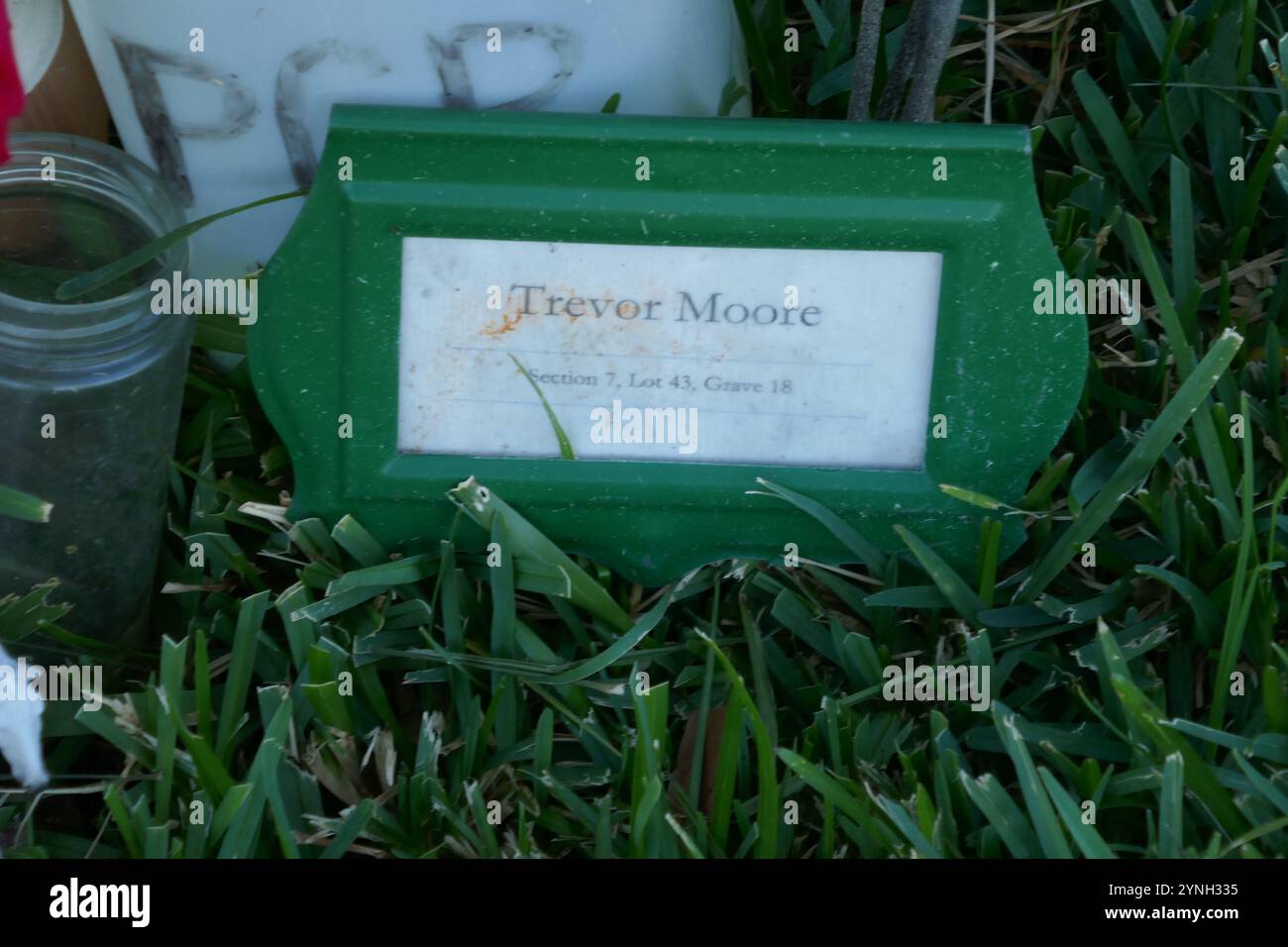 Los Angeles, California, USA 24th November 2024 Actor/Comedian Trevor ...