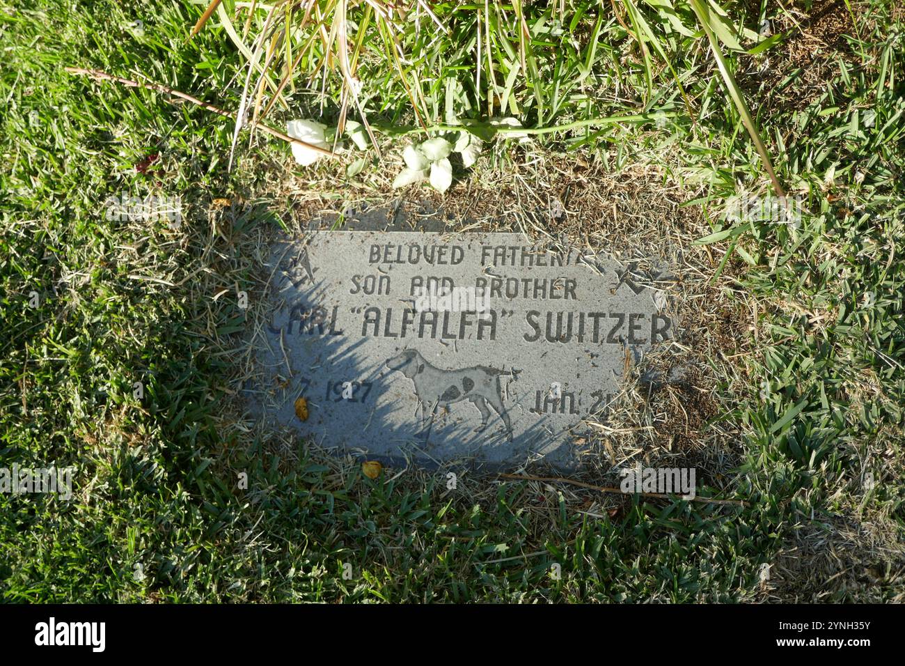 Los Angeles, California, USA 24th November 2024 Actor Carl Switzer ...