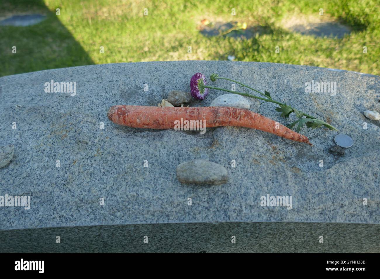 Los Angeles, California, USA 24th November 2024 Carrot on Mel Blanc ...