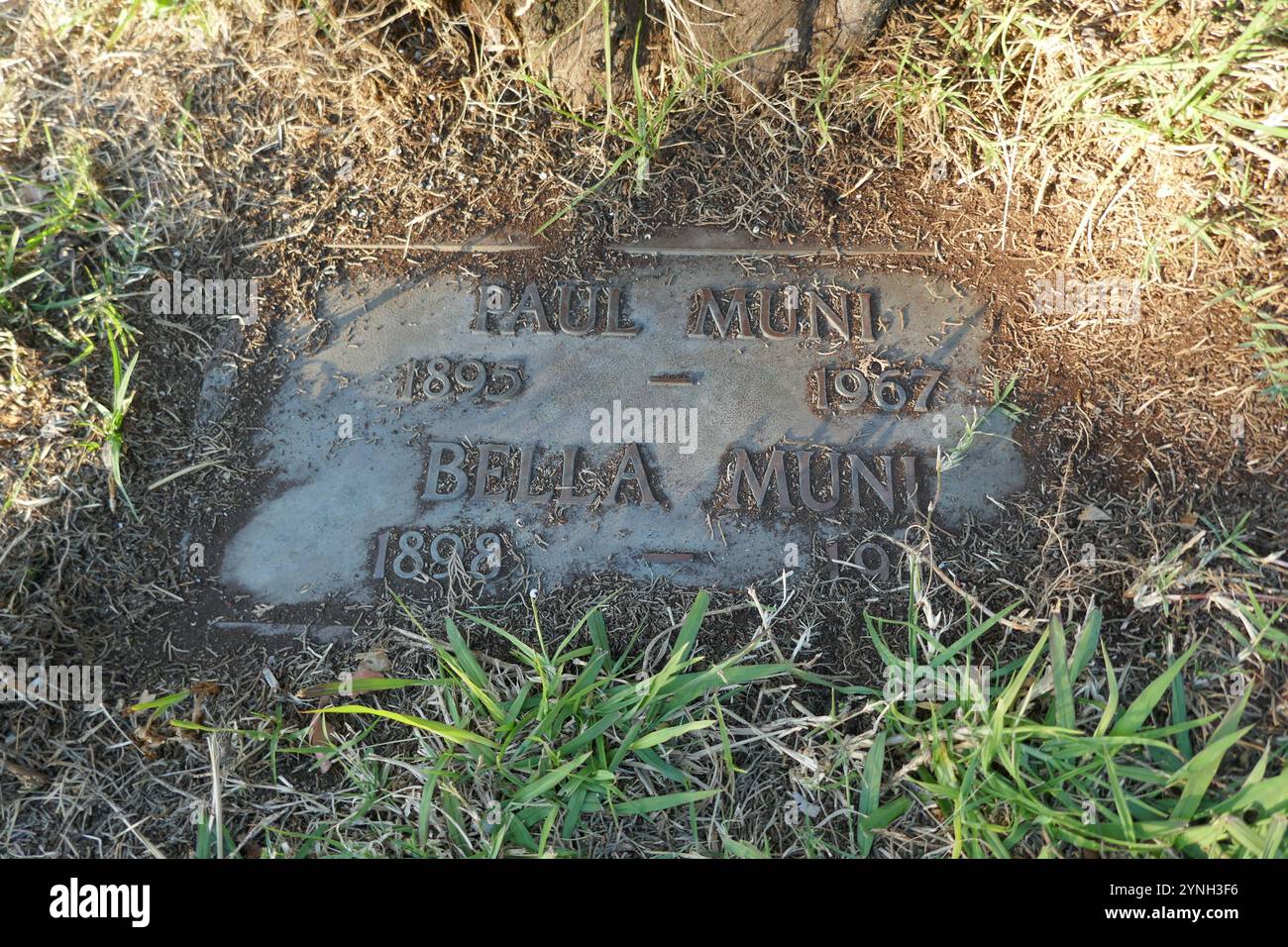 Los Angeles, California, USA 24th November 2024 Actor Paul Muni Grave ...
