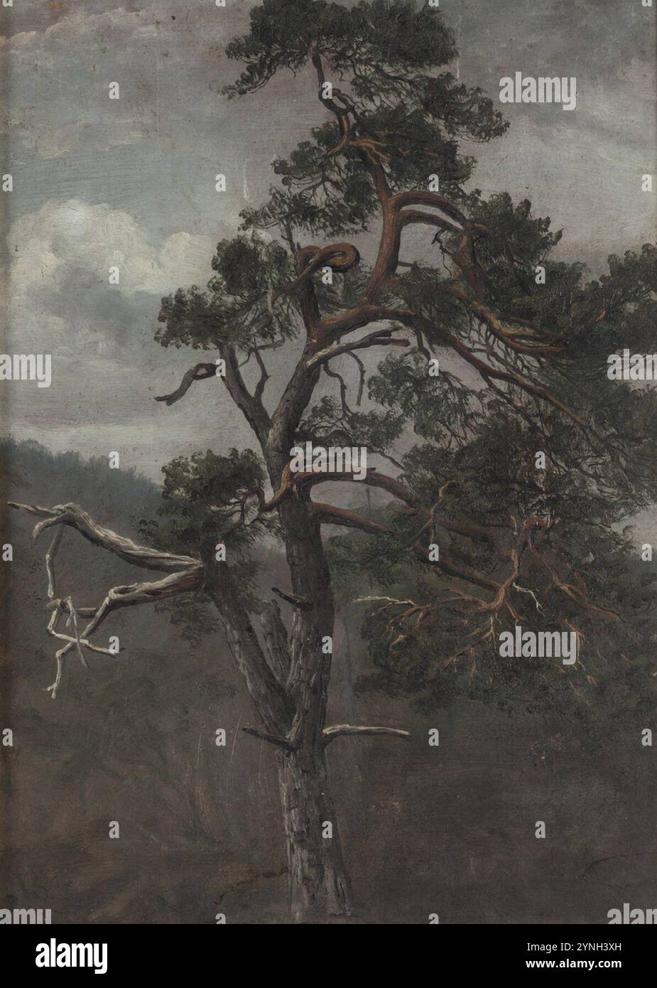 Knud Baade - Furutre Stock Photo - Alamy