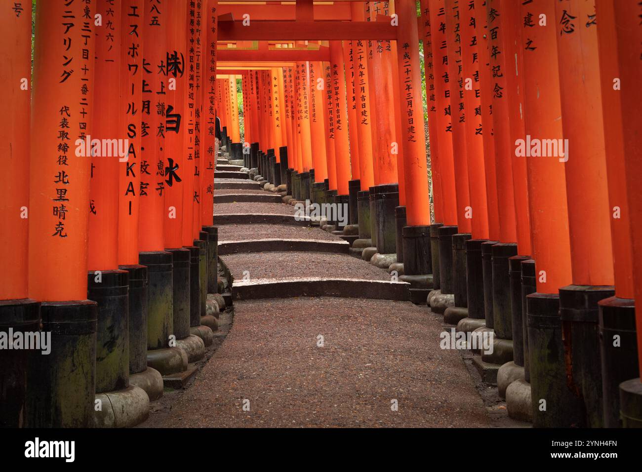 Thousand torii Fushimi Inari shrine at Kioto Stock Photo - Alamy